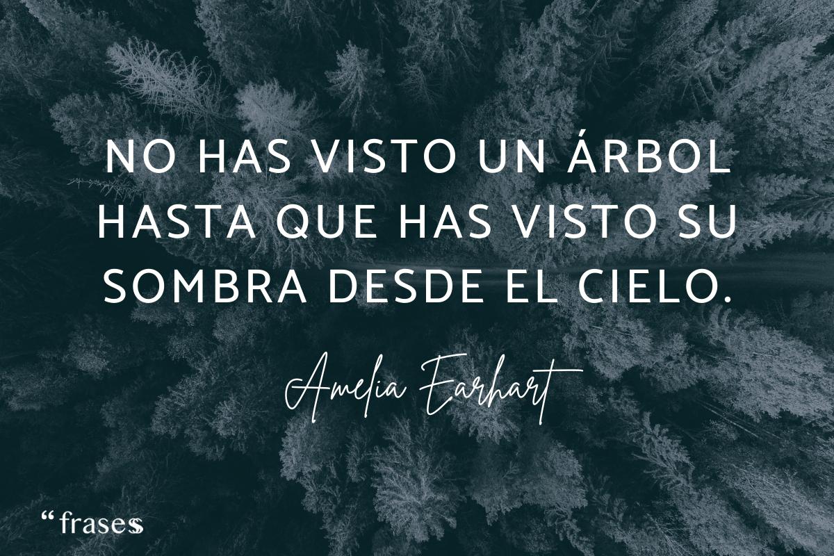 +50 FRASES de VOLAR y libertad