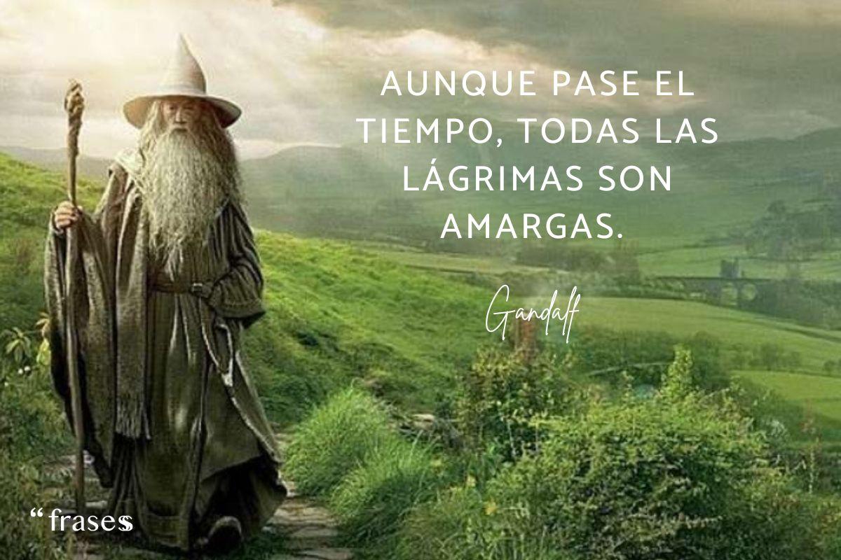 + 50 frases de Gandalf ¡Épicas!