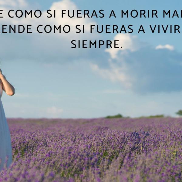 Citas Que Hacen Llorar