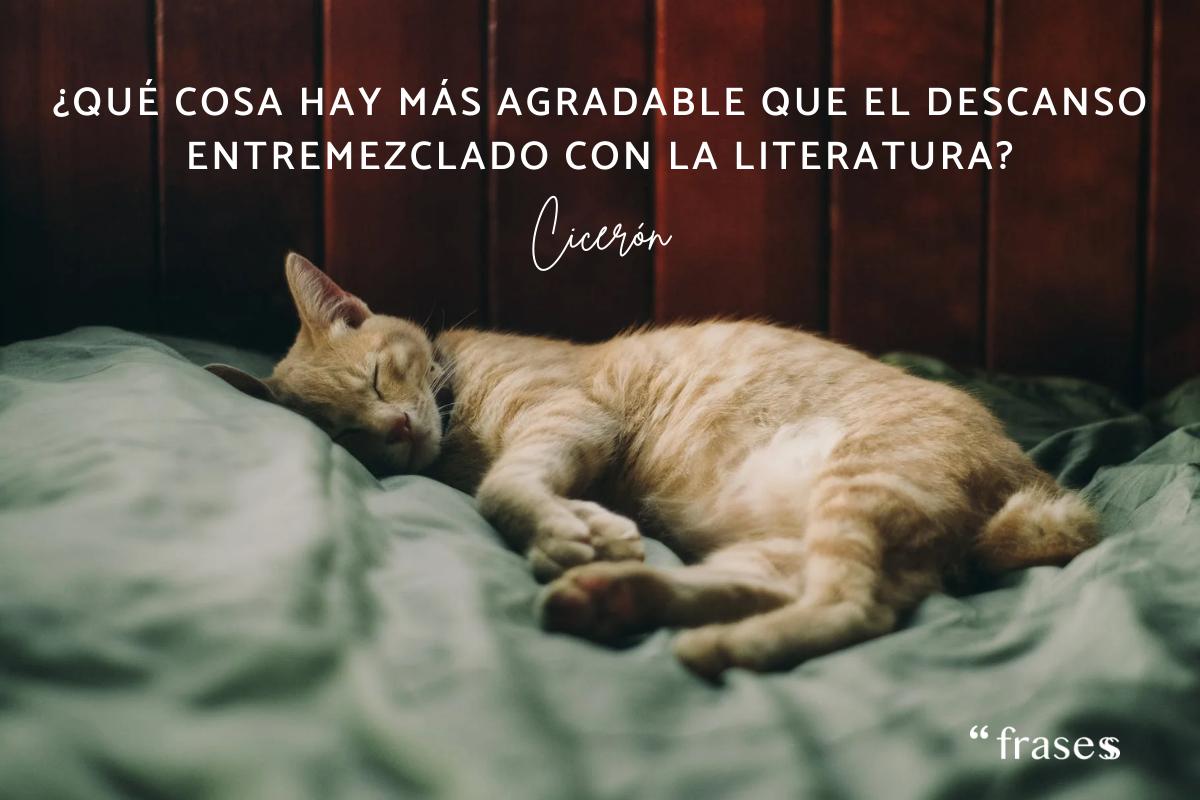 +50 Frases célebres sobre el descanso - ¡Para compartir!