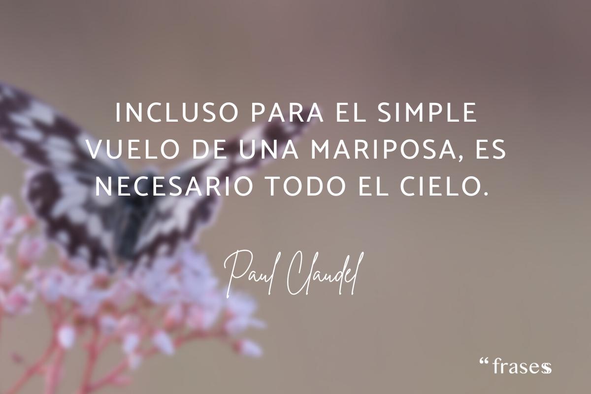 Frases de MARIPOSAS - ¡Para reflexionar!