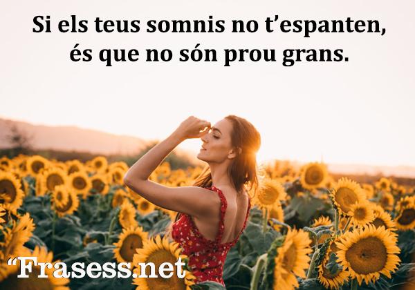 120 Frases en CATALÁN bonitas - ¡Y su significado!