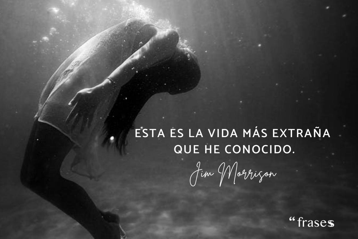 +50 Frases célebres de JIM MORRISON - ¡Para reflexionar!