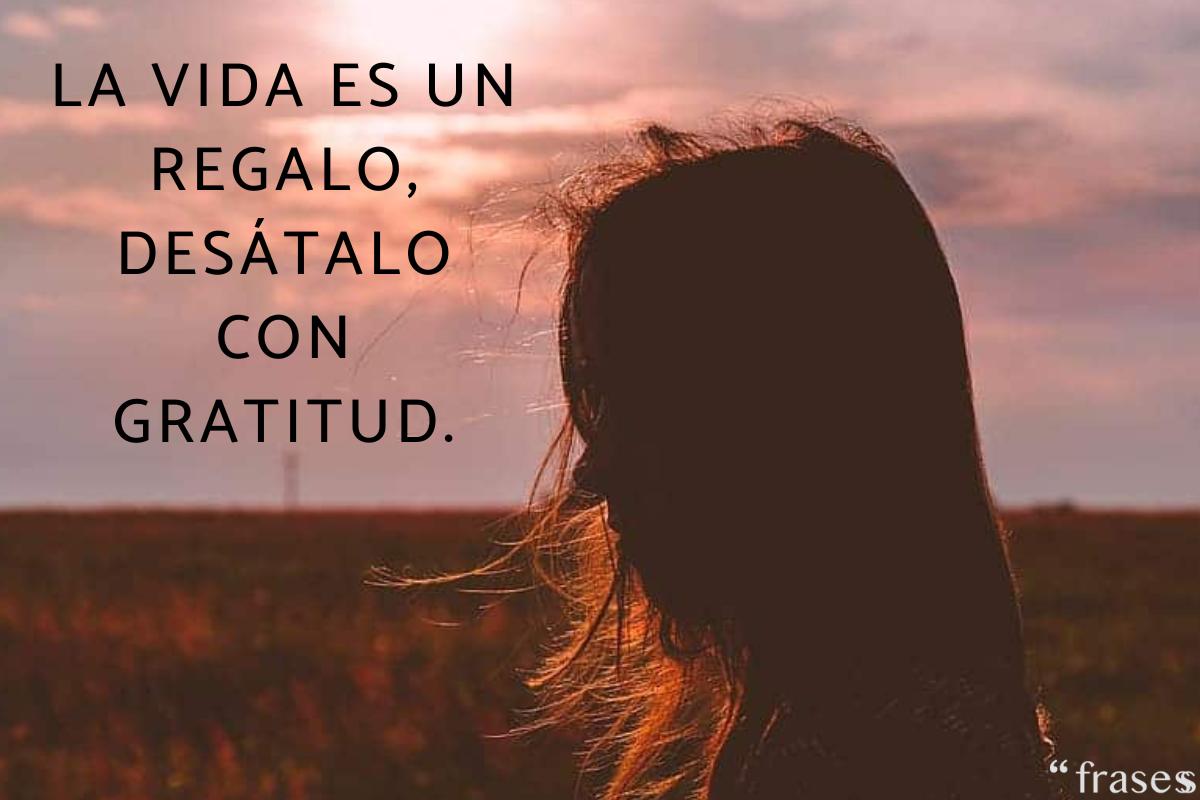 + 100 refranes de la vida para reflexionar