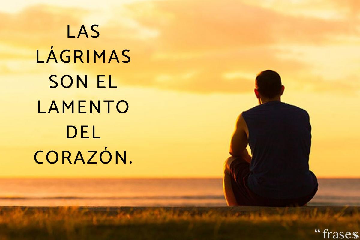 + 100 refranes de la vida para reflexionar