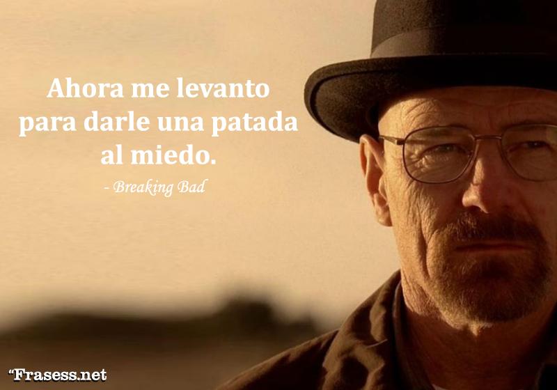 Frases De Breaking Bad Sobre Badger