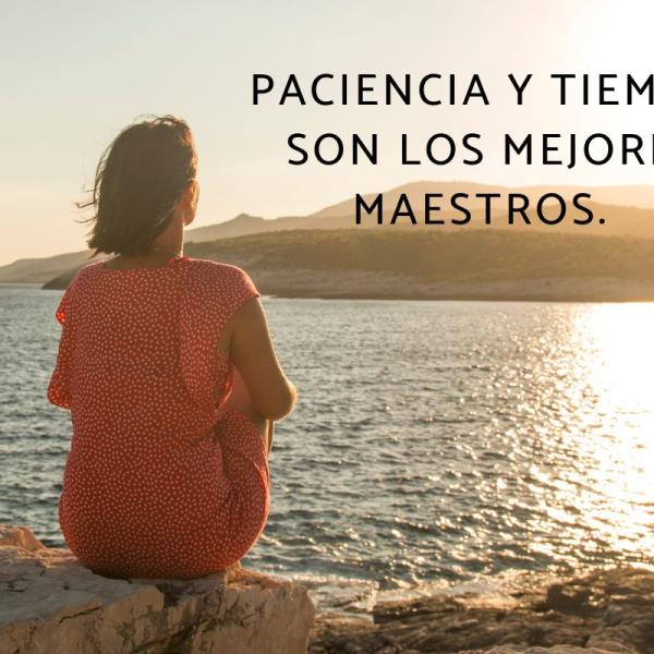 Imagen 66 Imagen Frases Sobre El Aprendizaje Vn
